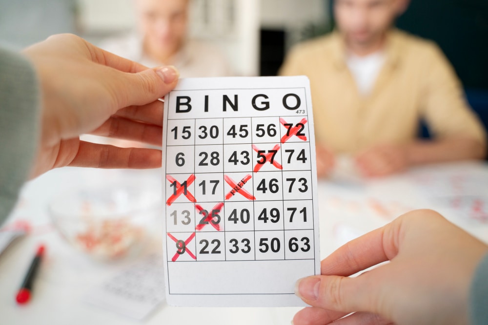 Bingo, il gioco che sta conquistando il web - Casinofy
